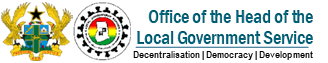 LOCAL GOVERNMENT SERVICE